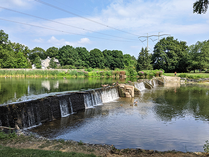 Jordan Creek's gentle cascade creates nature's soundtrack for picnickers. Better than any playlist you could create for a summer afternoon.