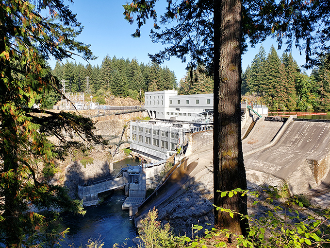 The dam offers a fascinating glimpse into how Oregon's natural power becomes the electricity that keeps our Netflix binges possible.