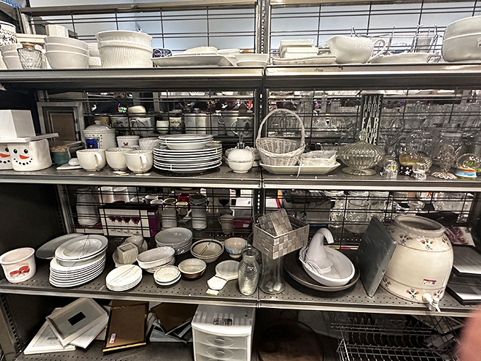Delicate china, sturdy stoneware, and quirky novelty mugs coexist on these shelves&mdash;each piece waiting to join someone's eclectic table setting.