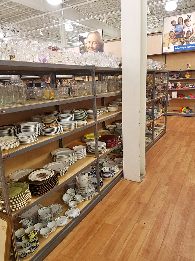 Plates with stories to tell &ndash; these dishes have hosted countless family dinners and are ready for encore performances.