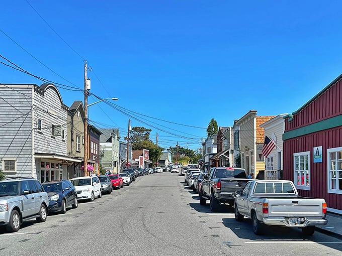 Main Street, where "rush hour" means three cars waiting for someone to parallel park. These historic storefronts hide treasures that Amazon will never replicate.