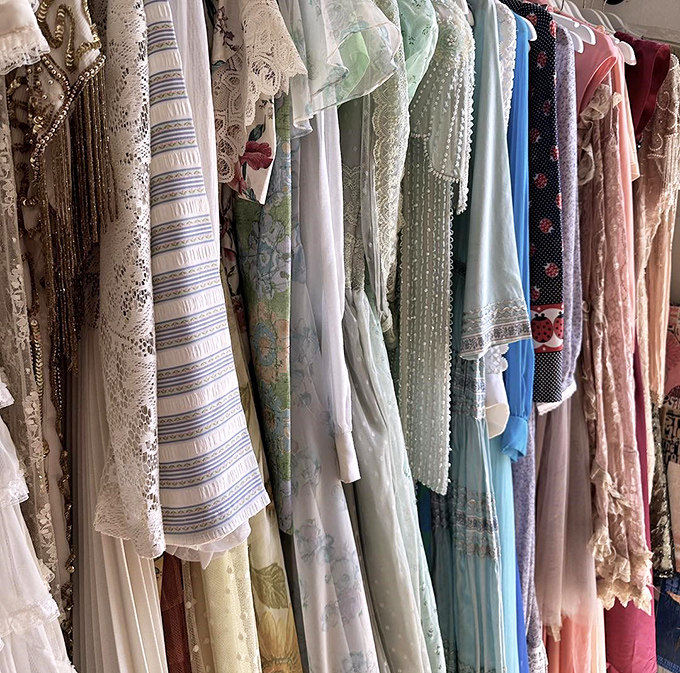 Vintage dresses hanging like delicate time capsules, each with stories to tell and parties yet to attend.