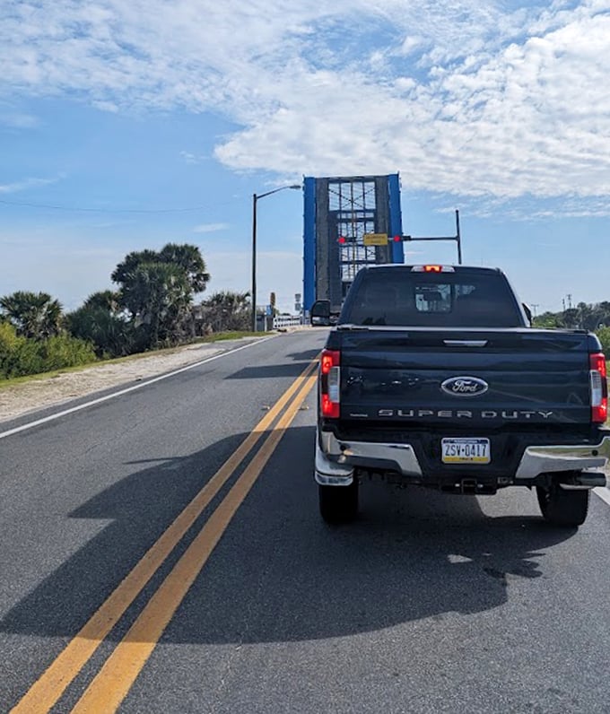 The High Bridge offers a momentary pause between ecosystems, with marshlands stretching toward the horizon like nature's infinity pool.