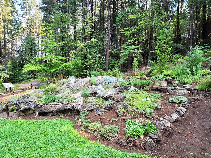 The Dunsmuir Botanical Gardens showcase nature's artistry with rock gardens and native plants&mdash;proof that not all California landscaping requires a water bill the size of your mortgage.