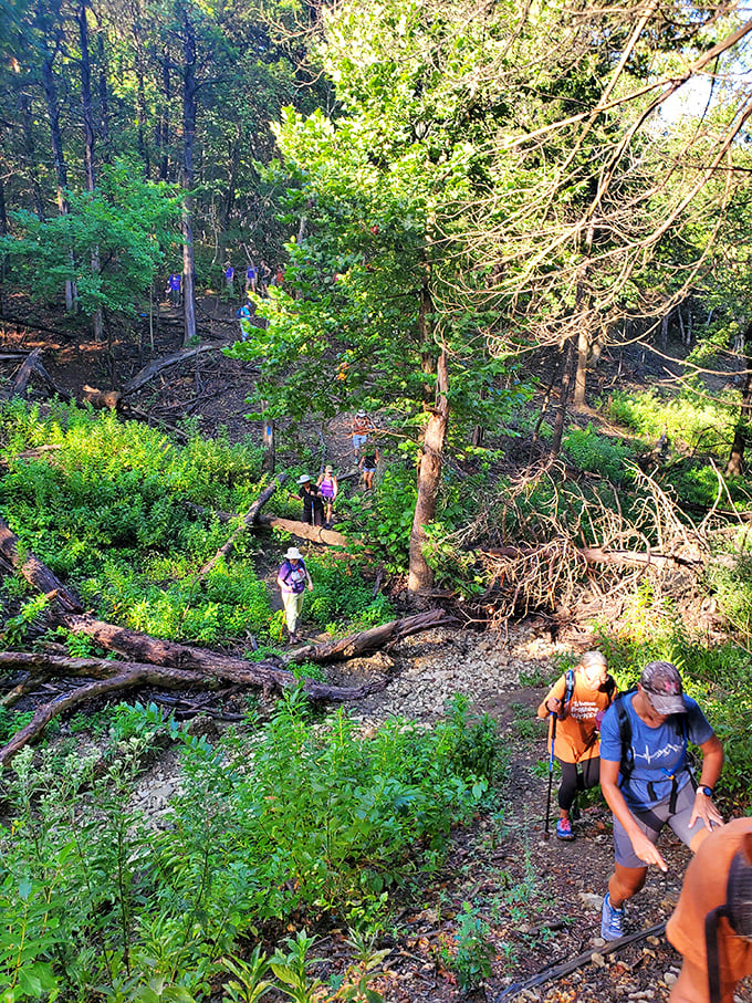 Hikers explore Elk City State Park's verdant trails, enjoying nature's gymnasium without the monthly membership fees of fancy fitness clubs.