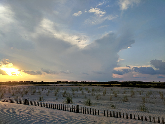 Evening light transforms the marshland into a watercolor painting that changes every minute you watch it.