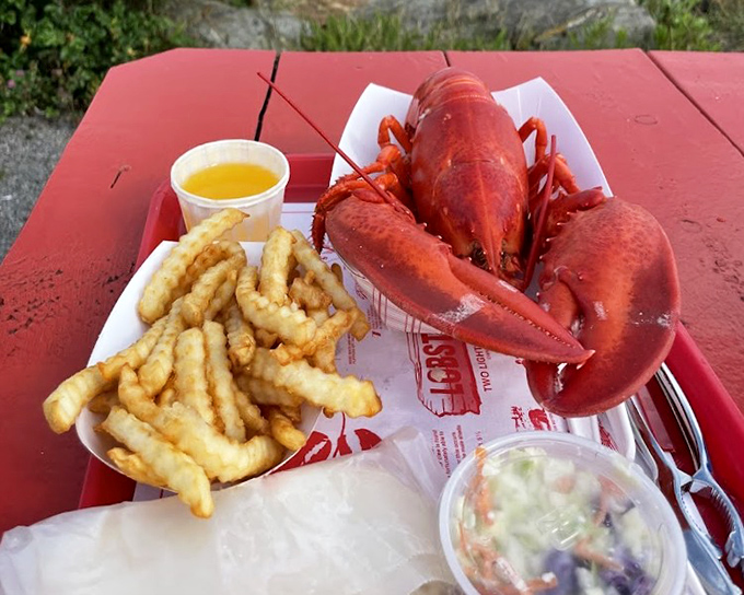 The whole lobster dinner &ndash; nature's perfect food design, requiring tools, technique, and a bib. Worth every messy minute.