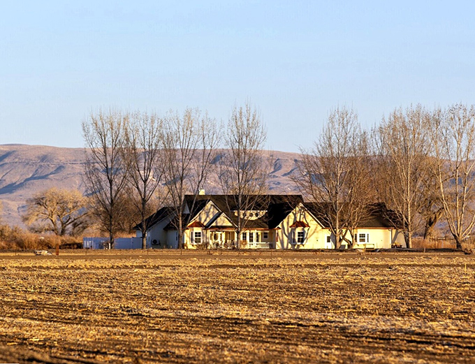 Rural Nevada reveals itself in this farmhouse nestled against mountain backdrops&mdash;where retirement means space to breathe, not space to squeeze between high-rises.