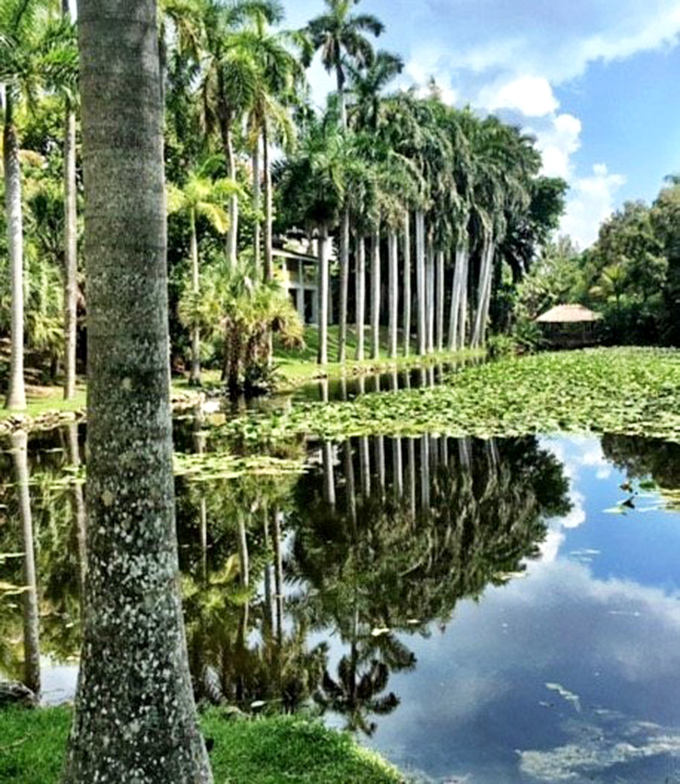 Towering palms create perfect mirror images in the still waters&mdash;nature's own Instagram filter before filters were even a thing.