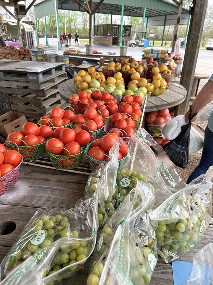 Farm-to-flea-market freshness! These tomatoes and fruits didn't travel across continents to reach your table—just across the county.
