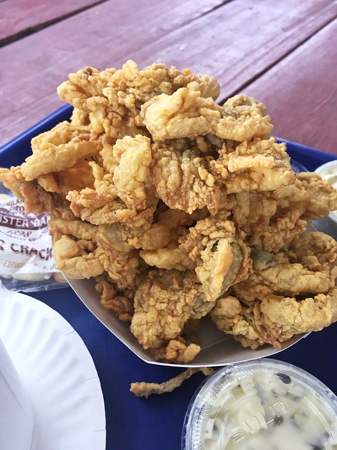 Fried clams piled higher than your expectations. Each bite delivers that perfect crunch-to-brine ratio that seafood dreams are made of.