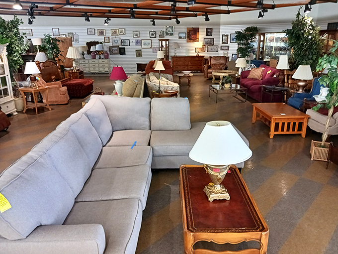 Furniture showroom worthy of an HGTV makeover montage. That sectional has seen some living rooms, but it's ready for yours.