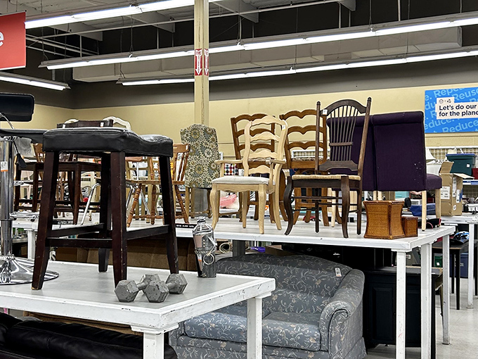 Furniture island hopping: from mid-century dining chairs to cozy armchairs, each piece carries stories and stands ready to create new ones.