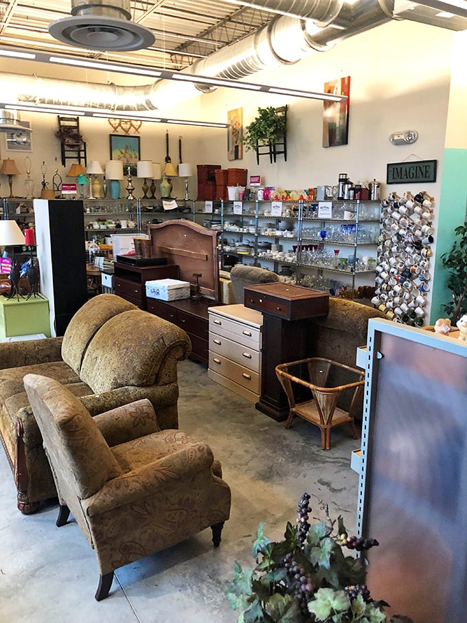 Vintage furniture and modern pieces coexist peacefully in this well-arranged section, where yesterday's treasures become tomorrow's statement pieces.