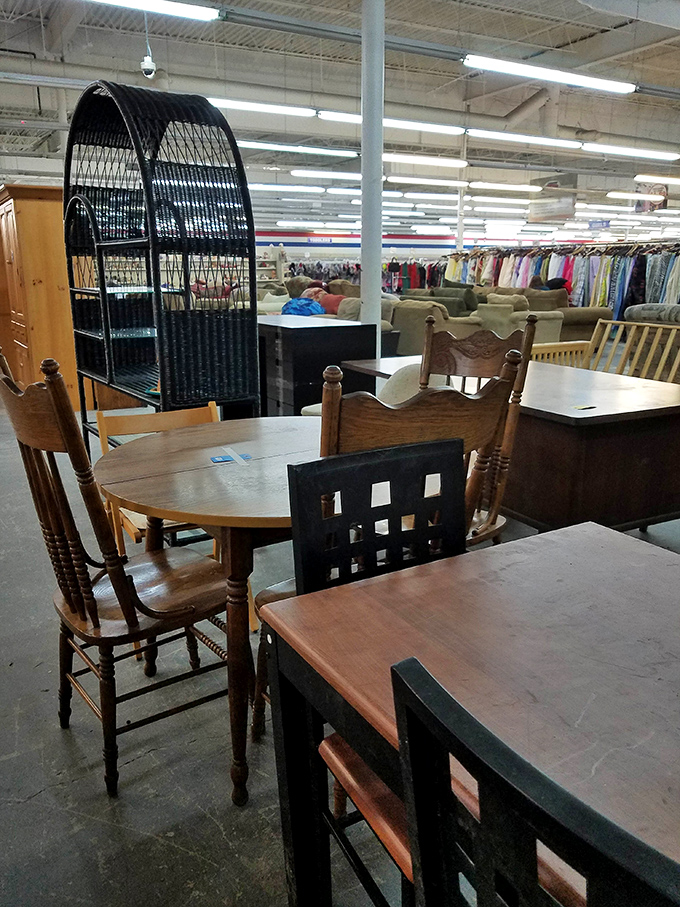 Dining sets and sofas create impromptu living rooms, as if furniture is having its own social gathering while waiting for forever homes.