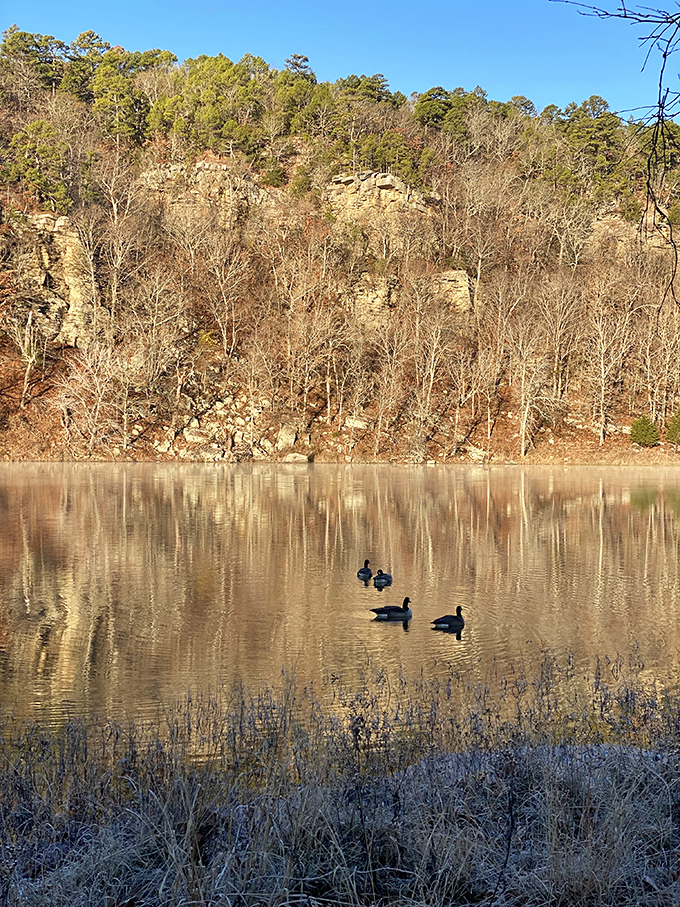 Winter's bare trees reveal the park's geological bones, while ducks glide across water so still it could be mistaken for glass.