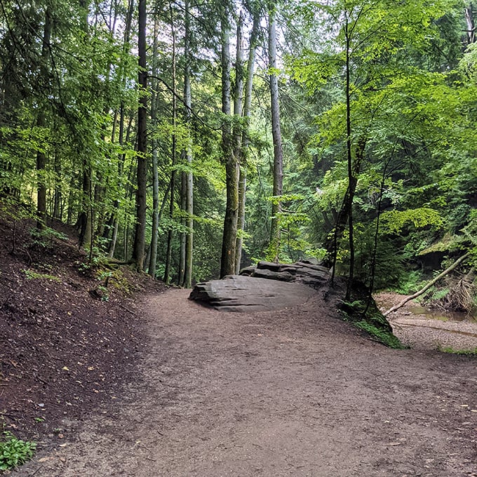 The trail meanders through a landscape that feels borrowed from a fantasy novel. No dragons spotted yet, but the day is young.