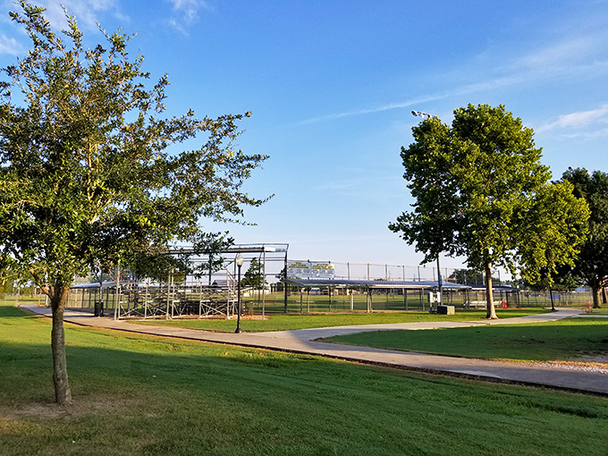 Gossen Park's baseball field stands ready for community games. Small-town recreation that costs nothing but delivers priceless memories under Louisiana's expansive sky.
