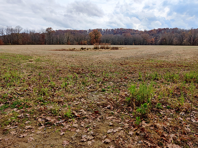 Fall paints the Great Guernsey Trail in nature's most vibrant palette. A peaceful reminder that sometimes the best views require no admission fee.