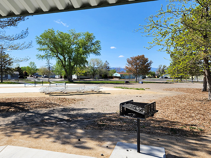 Another gorgeous park space where the grass is actually green and maintained, perfect for morning walks when your knees are feeling cooperative.