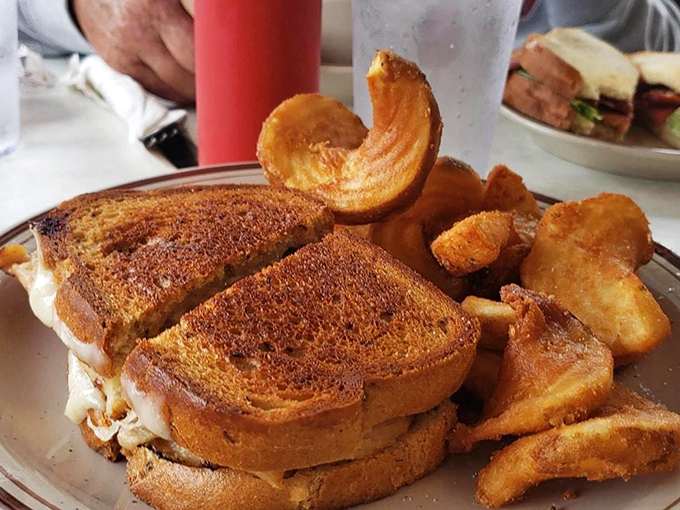 The perfect grilled sandwich with homestyle potato chips that curl like they're showing off. This isn't lunch &ndash; it's edible nostalgia.