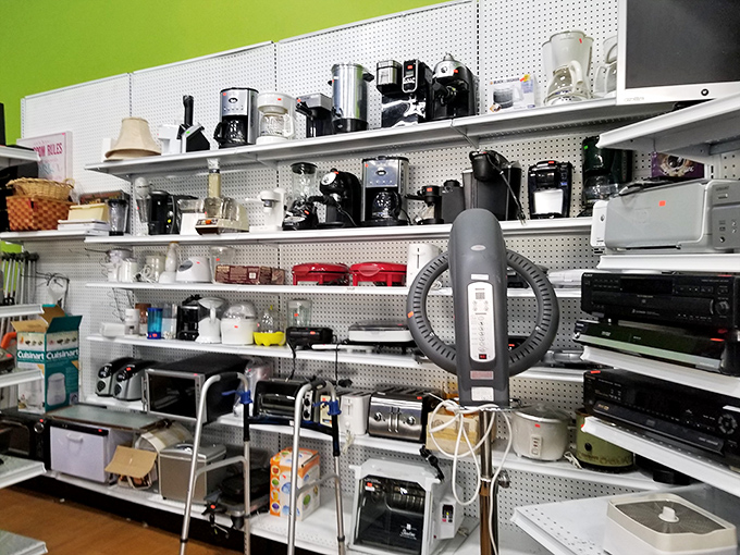 Coffee makers, blenders, and gadgets galore&mdash;the small appliance section is where kitchen dreams are born and counter space nightmares begin.