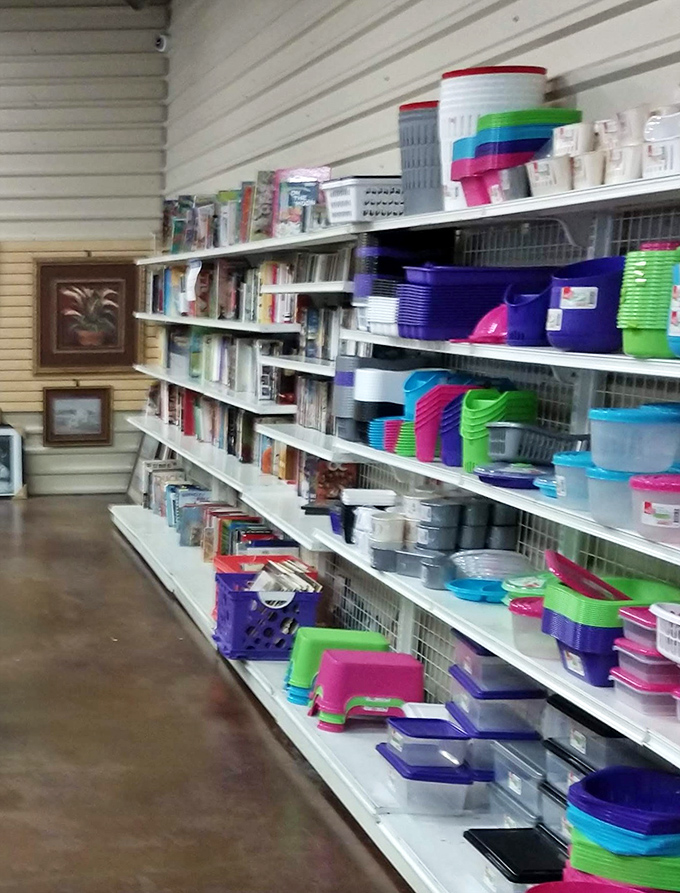 Plastic containers in rainbow hues prove that organization doesn't require emptying your retirement fund at fancy stores.