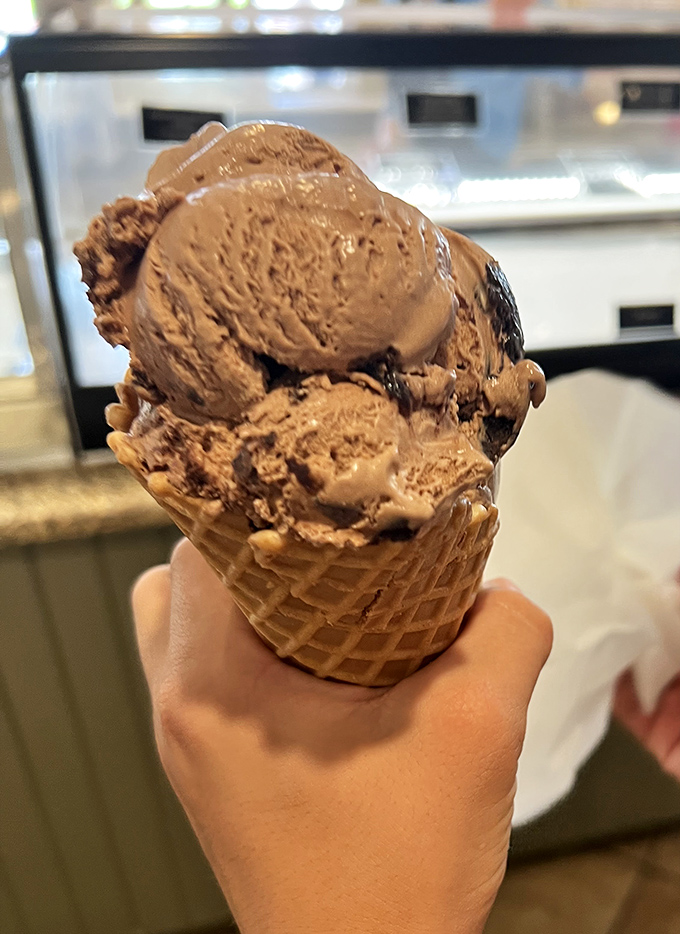 Ice cream that makes you remember why you fell in love with dessert in the first place. Rich, creamy, and unapologetically indulgent.