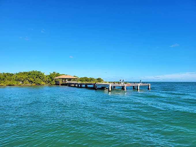 This weathered dock leads to Indian Key's fascinating past &ndash; a ghost town with stories to tell if you're willing to make the boat trip.