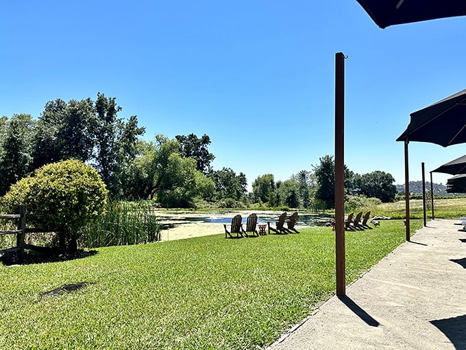 Adirondack chairs by the pond offer front-row seats to absolutely nothing urgent, which is precisely the point of being here.