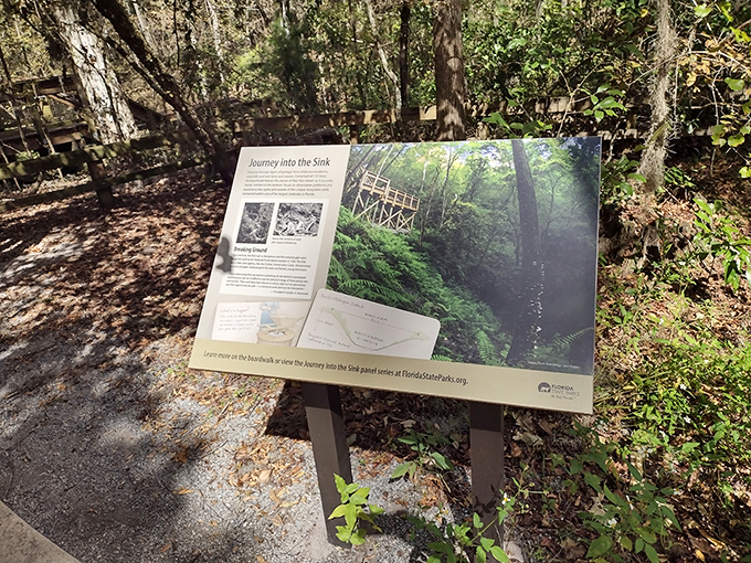 These interpretive signs are like nature's CliffsNotes, telling the epic geological story without the million-year wait.