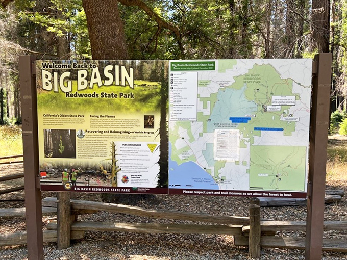 Welcome Back to Big Basin&mdash;words that carried extra weight after the 2020 fires, with detailed maps guiding visitors through the recovering landscape.