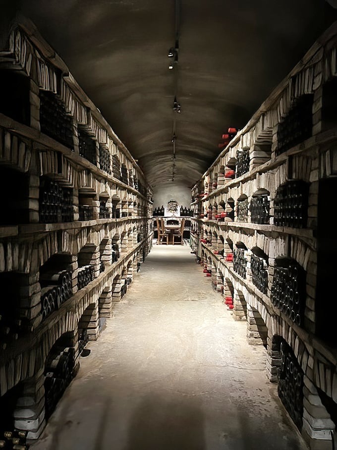 Wine bottles lined up like tiny soldiers guarding liquid treasure in subterranean coolness that beats any air conditioning.