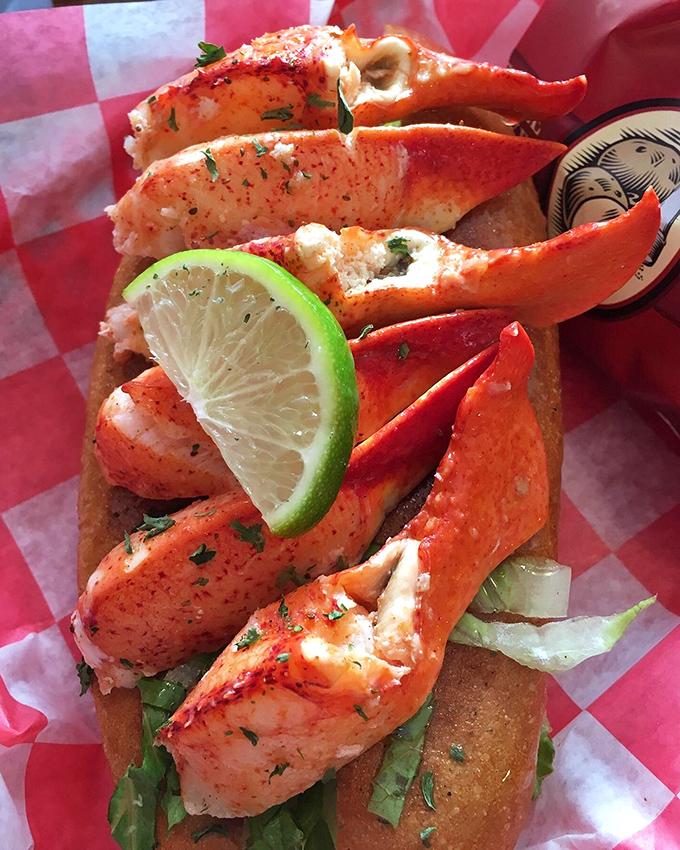 This lobster roll with lime is what happens when the ocean and the Florida Keys have a delicious baby. The red-checkered paper is just showing off at this point.