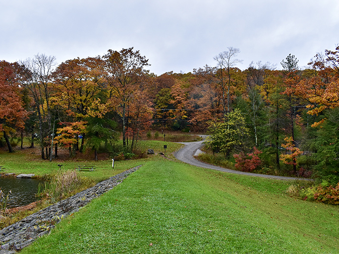 Autumn transforms the walking paths into corridors of gold that put every autumn-scented candle to absolute shame.