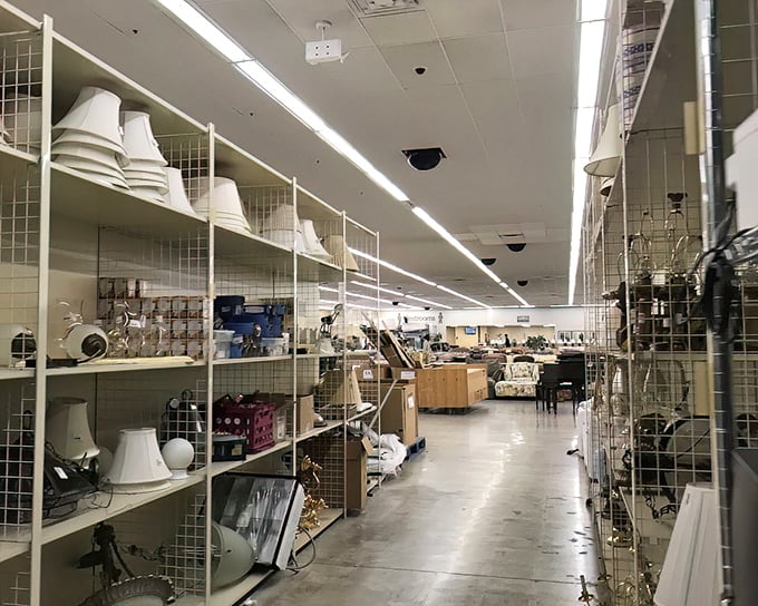 The lamp section illuminates possibilities &ndash; from mid-century modern to "your grandmother would definitely approve" styles.