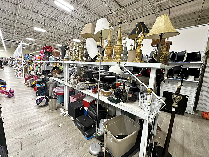 Golden lamps and quirky fixtures wait to illuminate your home without dimming your bank account balance.