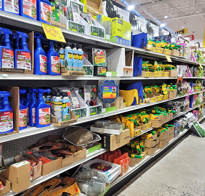 Garden supplies that won't make your wallet wilt. From pest control to planters, everything a green thumb needs without spending too much green.