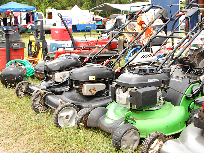 Lawn mower lineup that proves one person's "needs repair" is another's "just getting broken in." Suburban dads, your chariot awaits!
