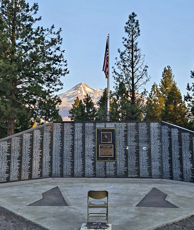 Nature's cathedral of pines creates dappled sunlight on this peaceful trail. The perfect escape when you need forest bathing without the spa prices.