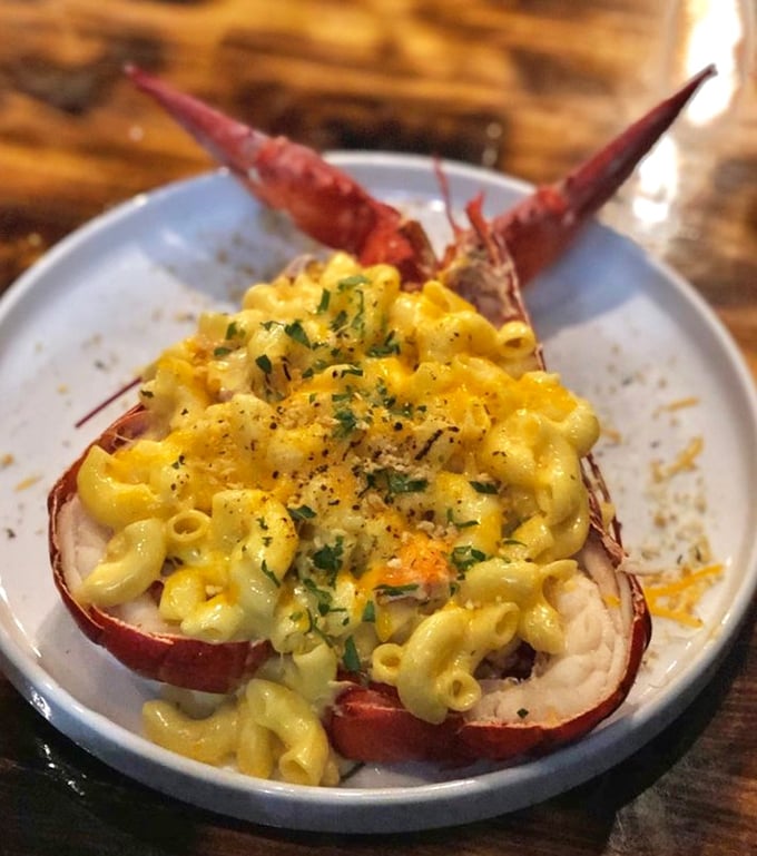 Lobster mac & cheese: where comfort food gets dressed for the red carpet. The ultimate marriage of childhood nostalgia and grown-up indulgence.