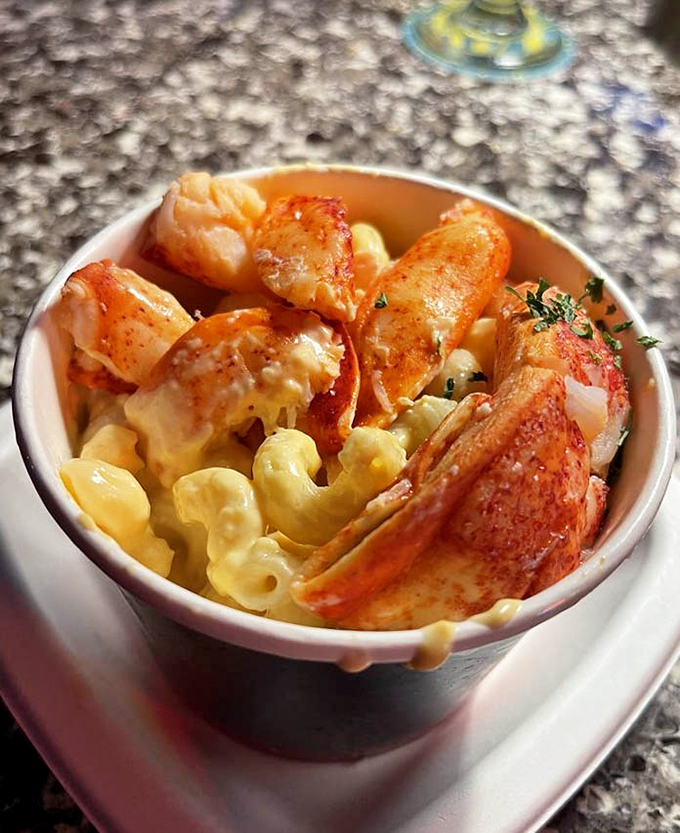 Lobster mac and cheese: where comfort food puts on its fancy pants but still remembers where it came from. 