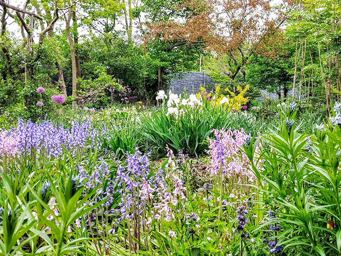 Spring's greatest hits album cover: bluebells, irises, and daffodils performing together in a botanical supergroup that puts human bands to shame.