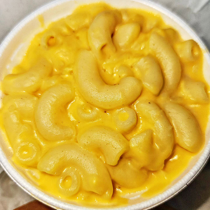 Mac and cheese that's unapologetically yellow and gloriously simple. Comfort food that knows exactly what it's supposed to be.