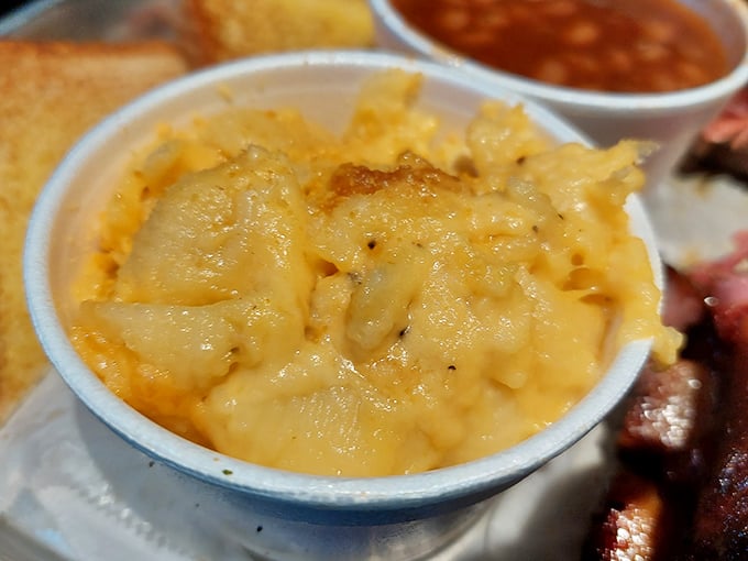 Mac and cheese that achieves the perfect cheese-pull-to-creaminess ratio. This isn't a side dish; it's the supporting actor that steals the scene.