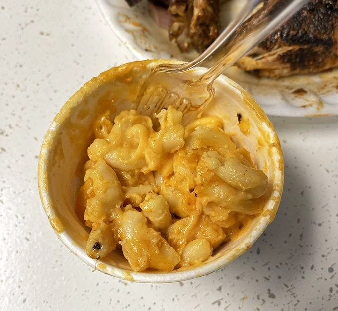Mac and cheese that doesn't know it's a side dish. Creamy, golden, and studded with perfectly cooked pasta that refuses to be overshadowed.