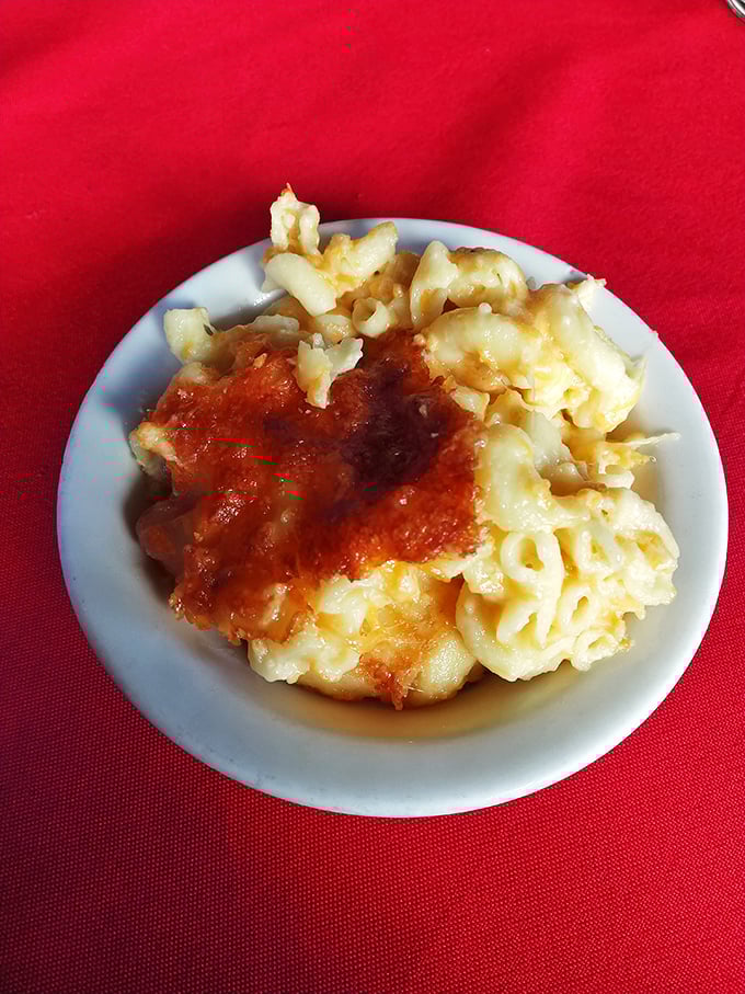Mac and cheese that doesn't apologize for being what it is: comfort in a bowl, with a crown of sauce for good measure.
