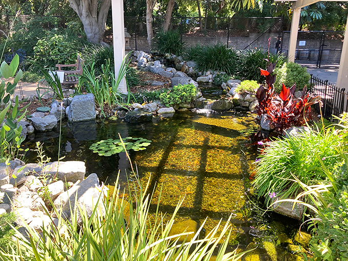 Tranquility you can hear&mdash;this koi pond's gentle ripples provide nature's soundtrack while water lilies perform their ballet.