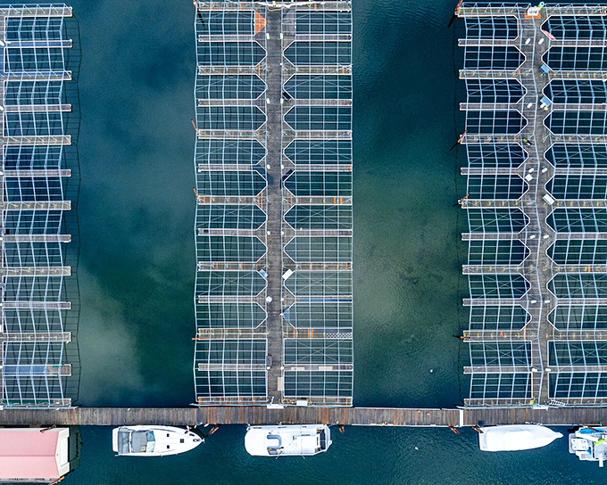 A perfect grid of boat slips creates a floating neighborhood where weekend captains swap fish tales and grilling secrets.