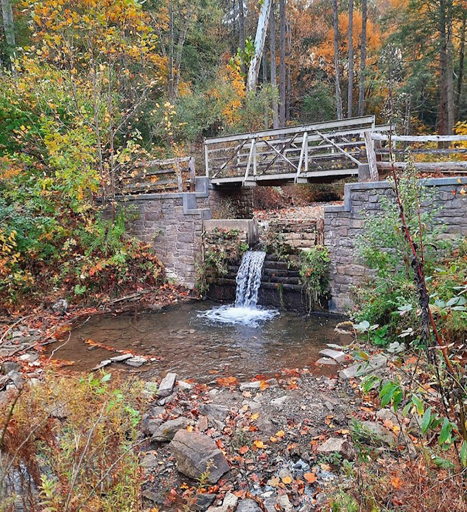 This picturesque waterfall doesn't need a filter. Nature's been perfecting this Instagram-worthy spot since long before smartphones existed.